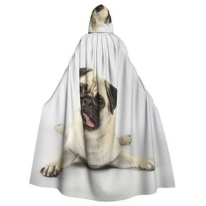 Curious George Costumes