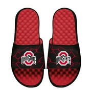 Ohio State Slides