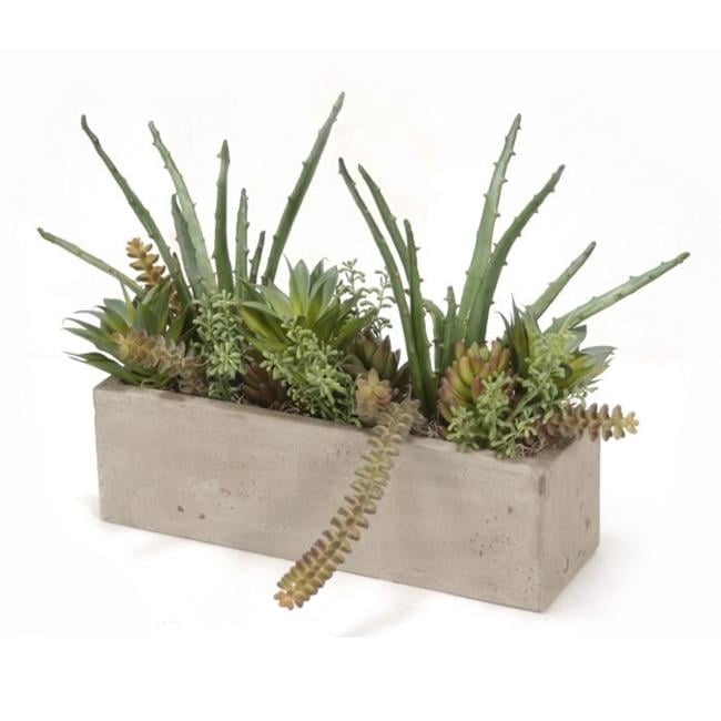 Unisex Mixed Succulents in Concrete Window Box - Green - Walmart.com