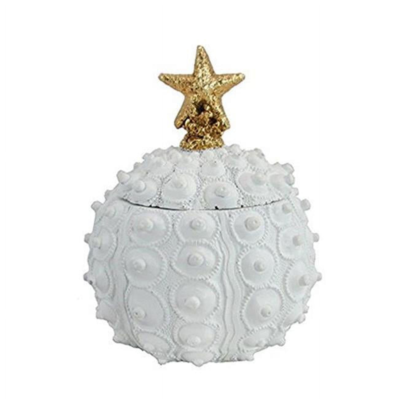 Unison Gifts UPG-440 7.75 in. Coral Box - Walmart.com