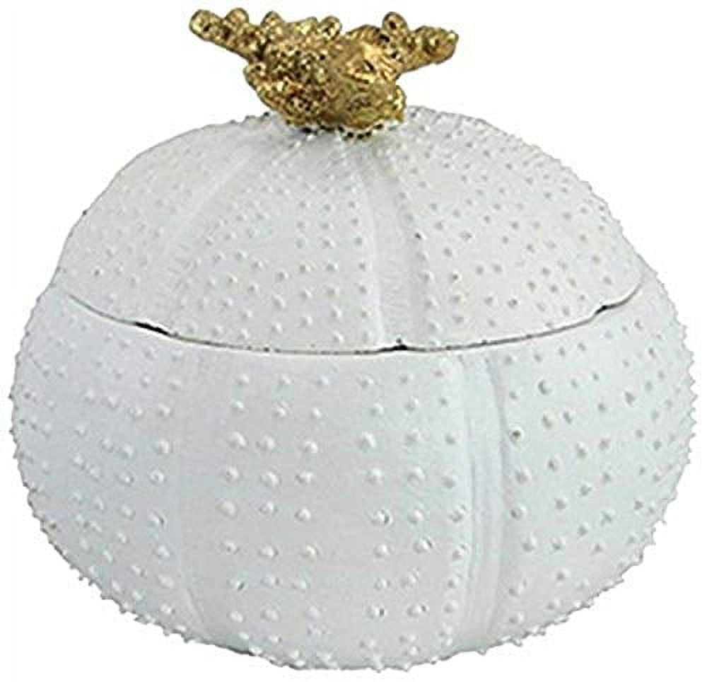 Unison Gifts Upg-439 7.25 inch Coral Box - Walmart.com