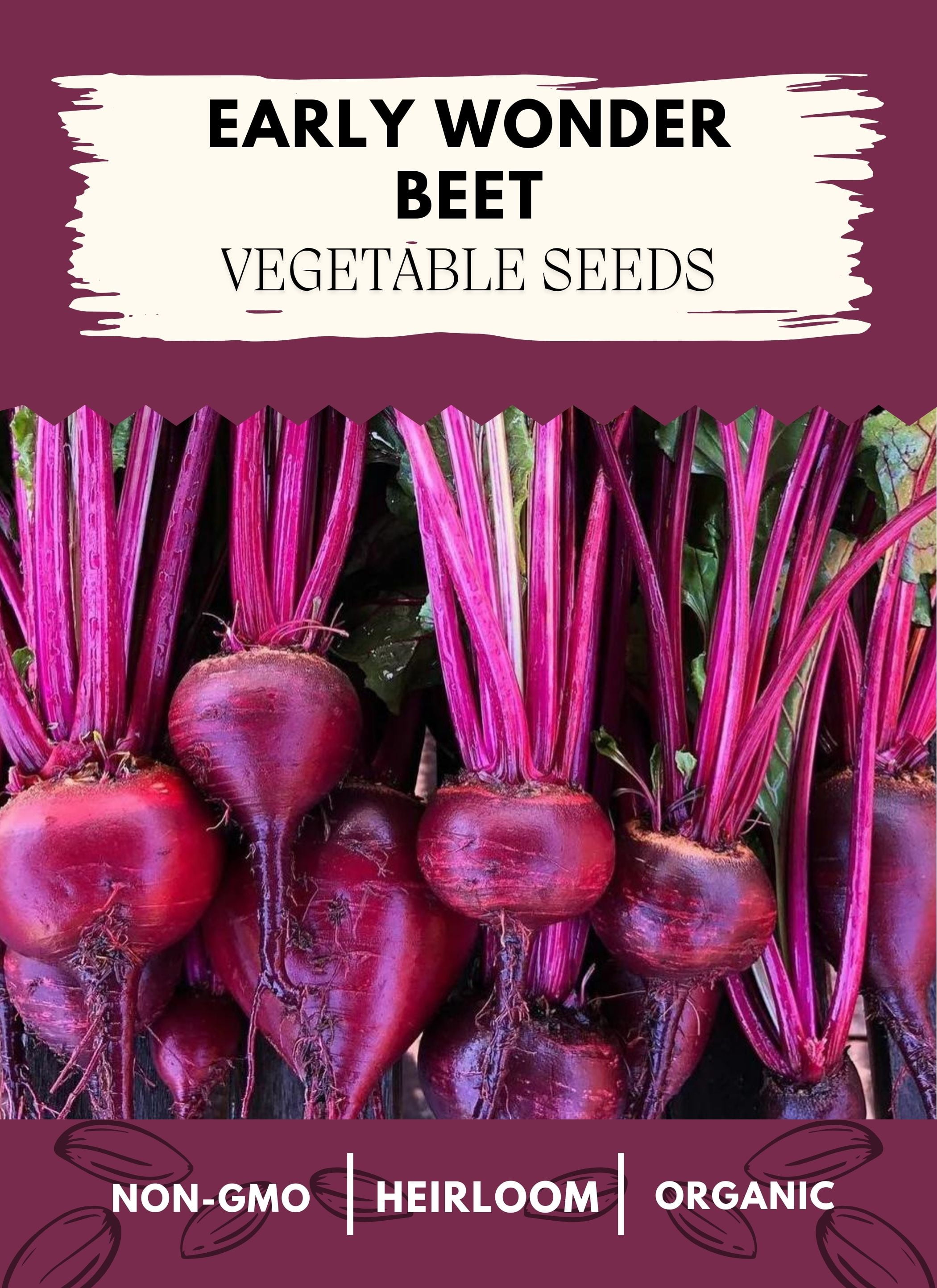 Early Wonder Beet Vegetable (200 Unit) | All Natural Unit | Heirloom ...