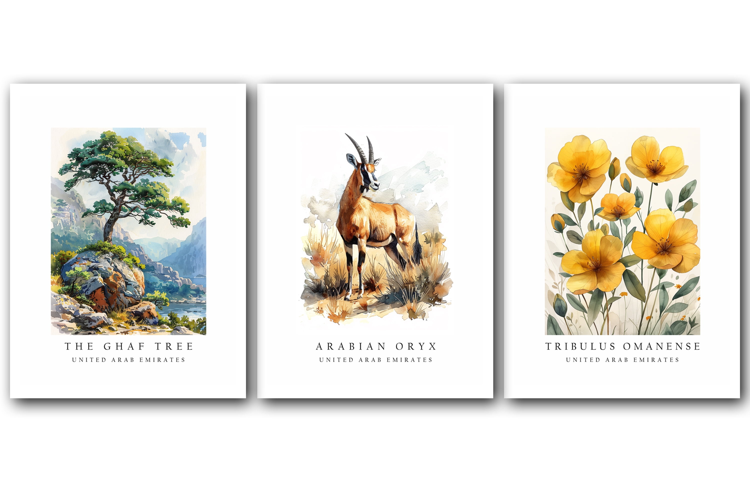 United Arab Emirates UAE National Symbols, The Arabian Oryx, Tribulus ...