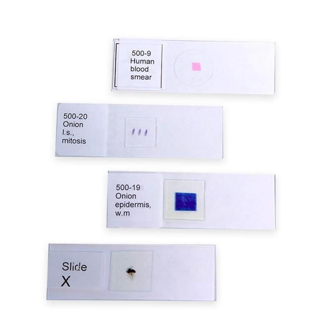 United Scientific 2154968 Mixed Gram Positive & Negative Bacteria ...