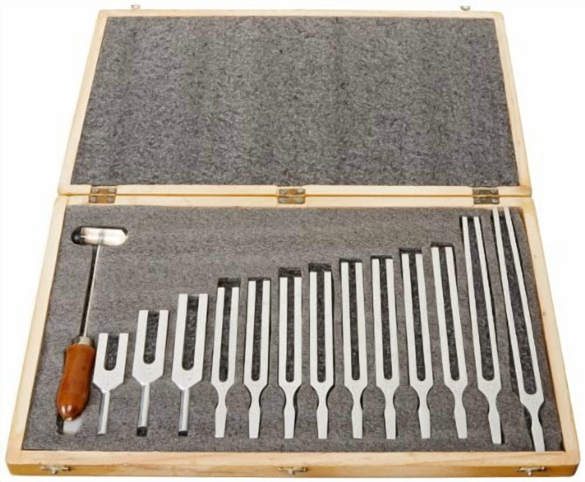 United Scientific Tuning Fork Set of 13 with Dual-Ended Mallet – 13 ...