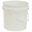 5 Gal. Homer Bucket (6-Pack) - Walmart.com