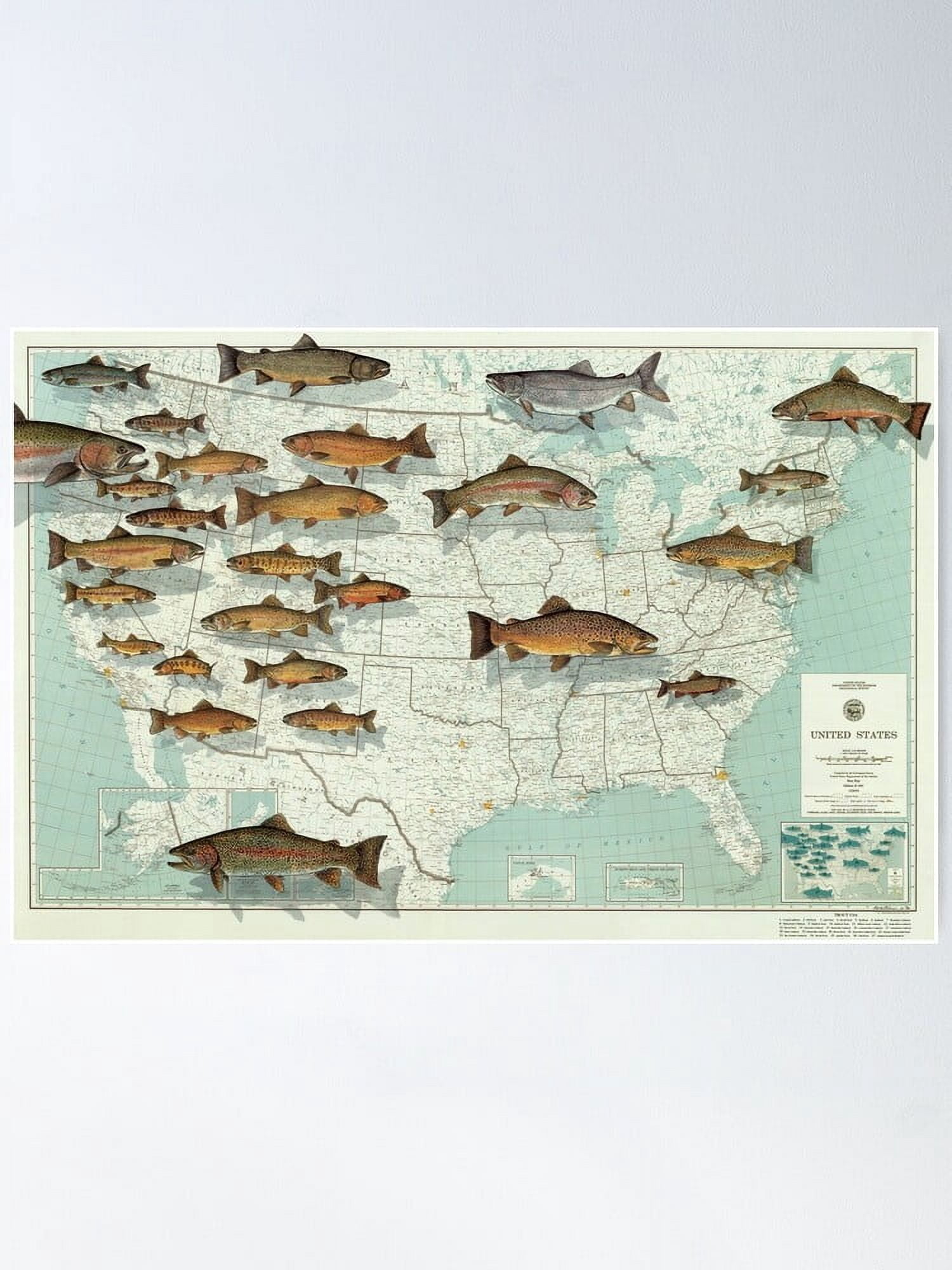 United States Trout Map (1999) Poster - Walmart.com