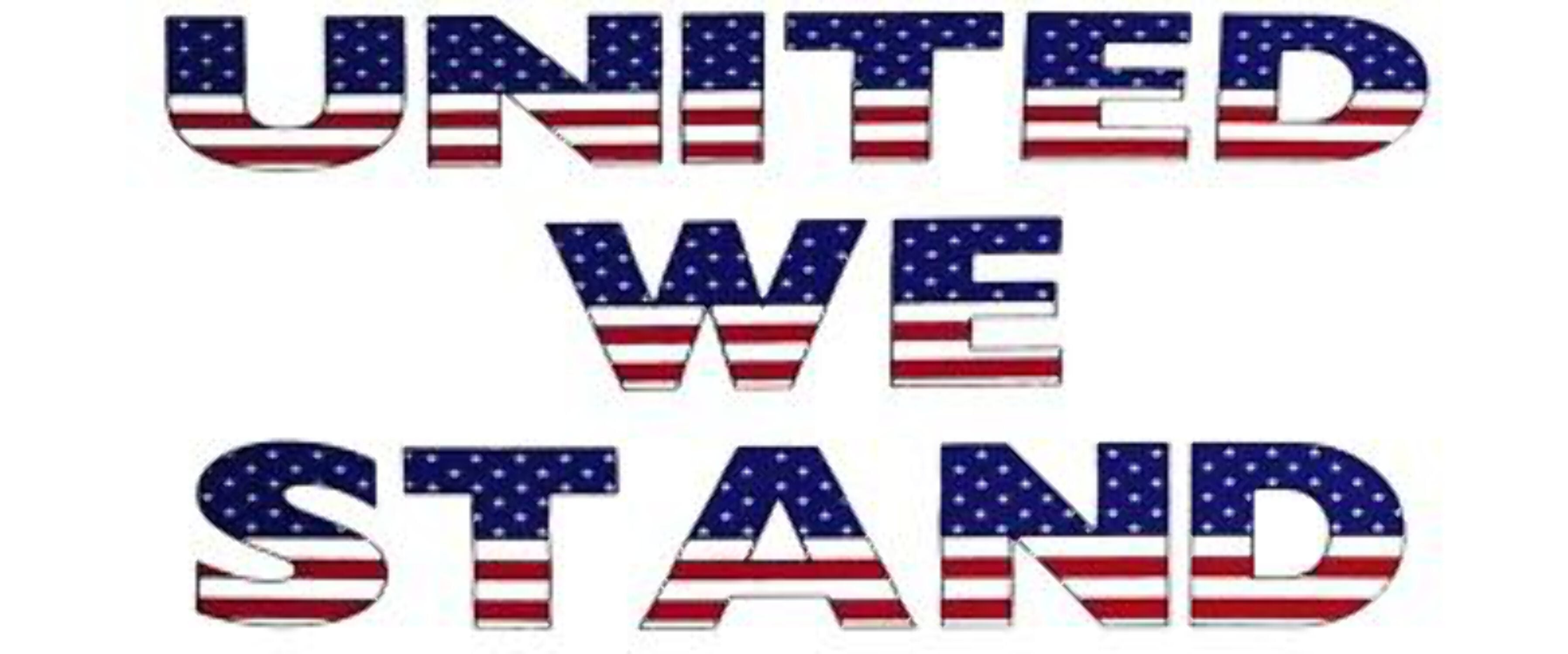 United We Stand USA Overlay White Vinyl Decal Bumper Sticker - Walmart.com