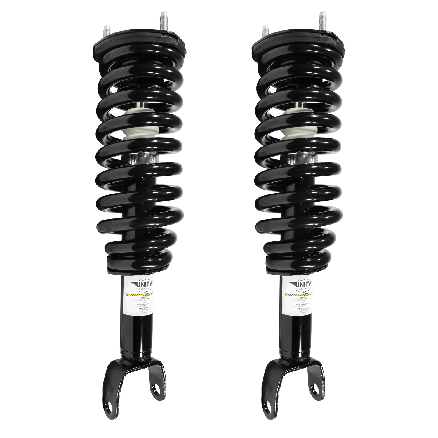 Dodge Dakota Suspension Strut Assembly Kit