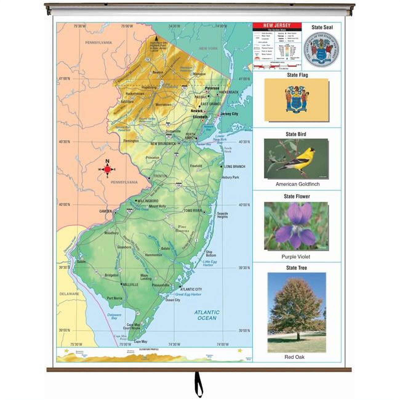 Univarsal 911642960002-64x54-RAW 64 x 54 in. New Jersey State Primary ...