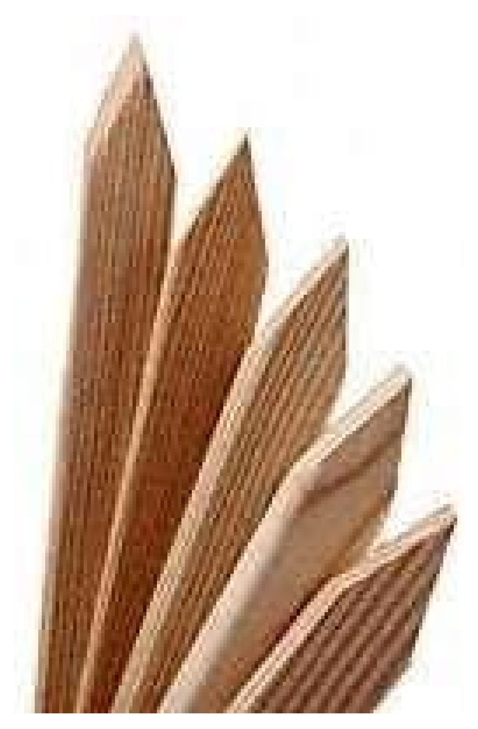 Universal 1338 Grade Stake, 1 X 2-" - Walmart.com