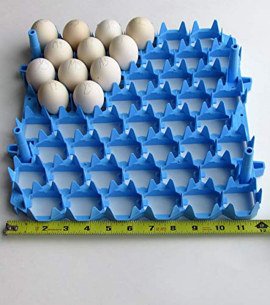 Universal Chicken Egg Trays (6 pack) - Walmart.com