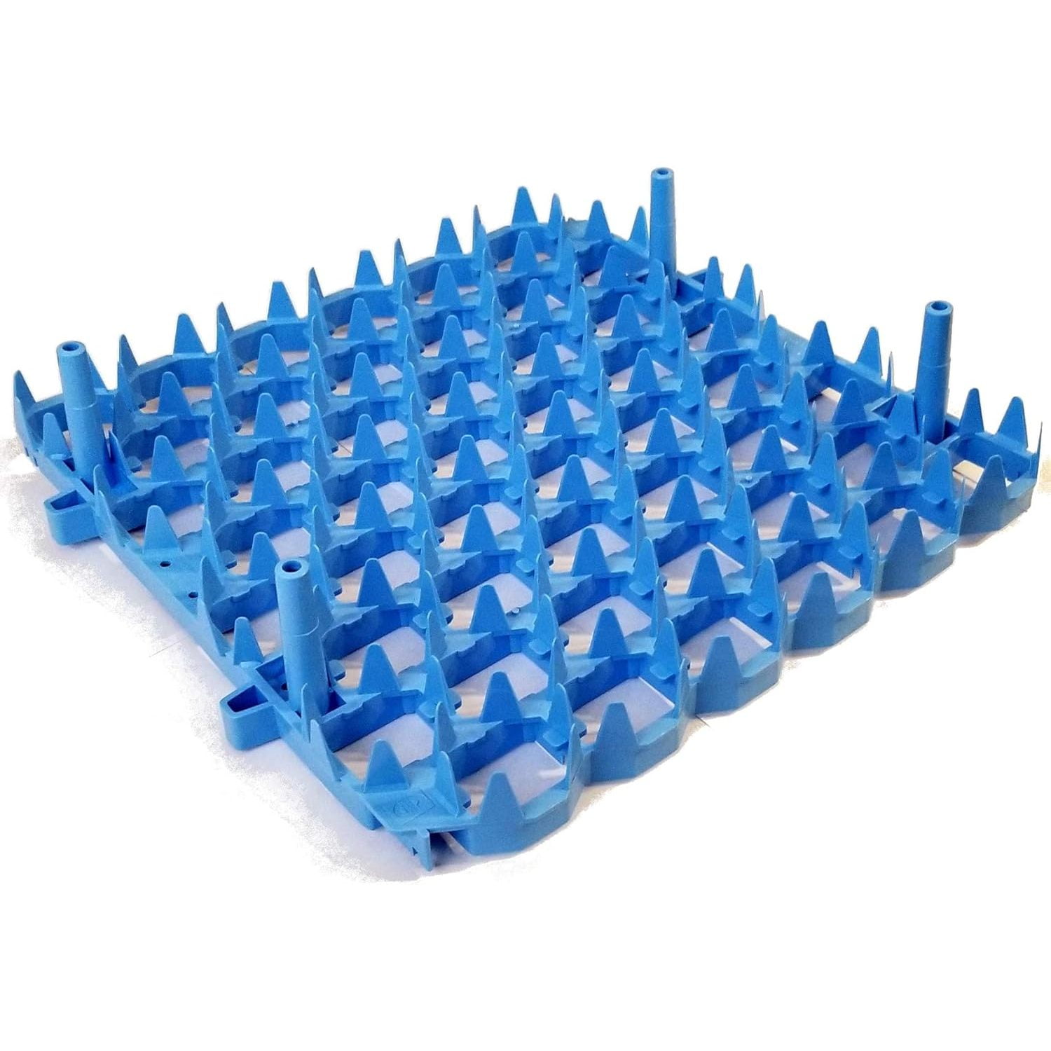 Universal Chicken Egg Trays (6 pack) - Walmart.com