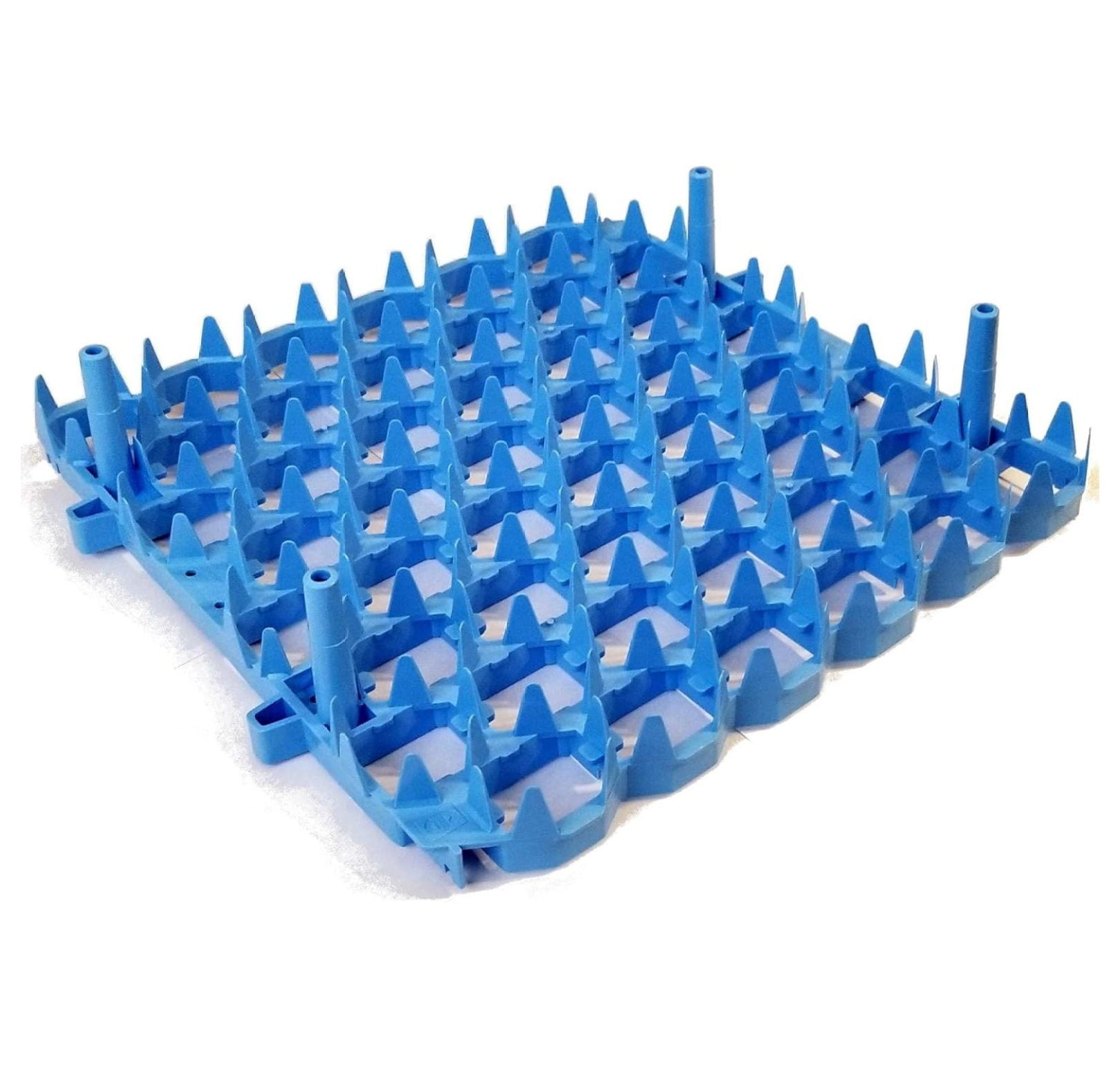 Universal Chicken Egg Trays (6 pack) - Walmart.com