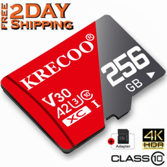 256 GB Memory Cards