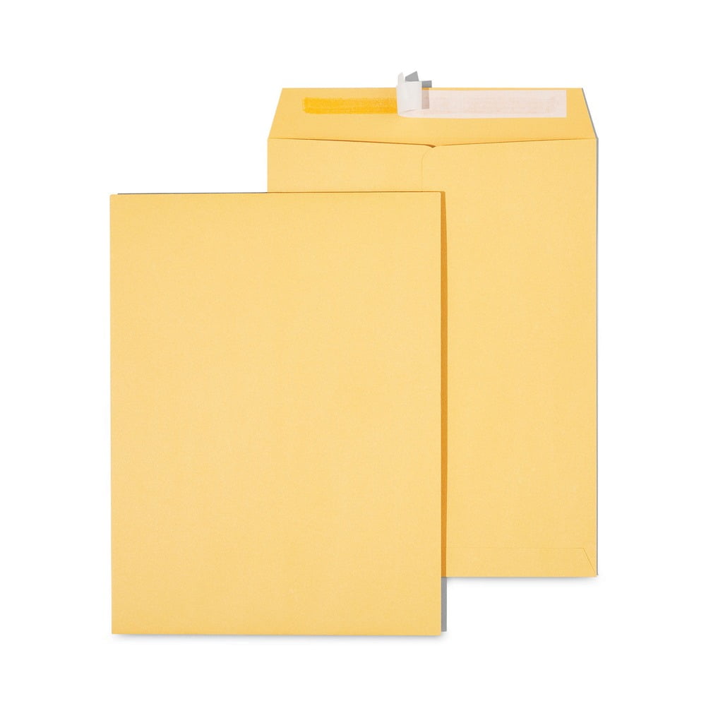Universal Large Sized Peel Seal Strip Catalog Envelope, #10 1/2, Easy ...