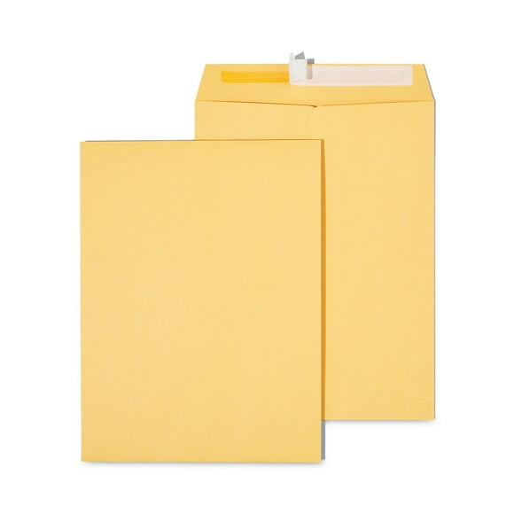 9 X 12 Envelopes in Envelopes by Size - Walmart.com