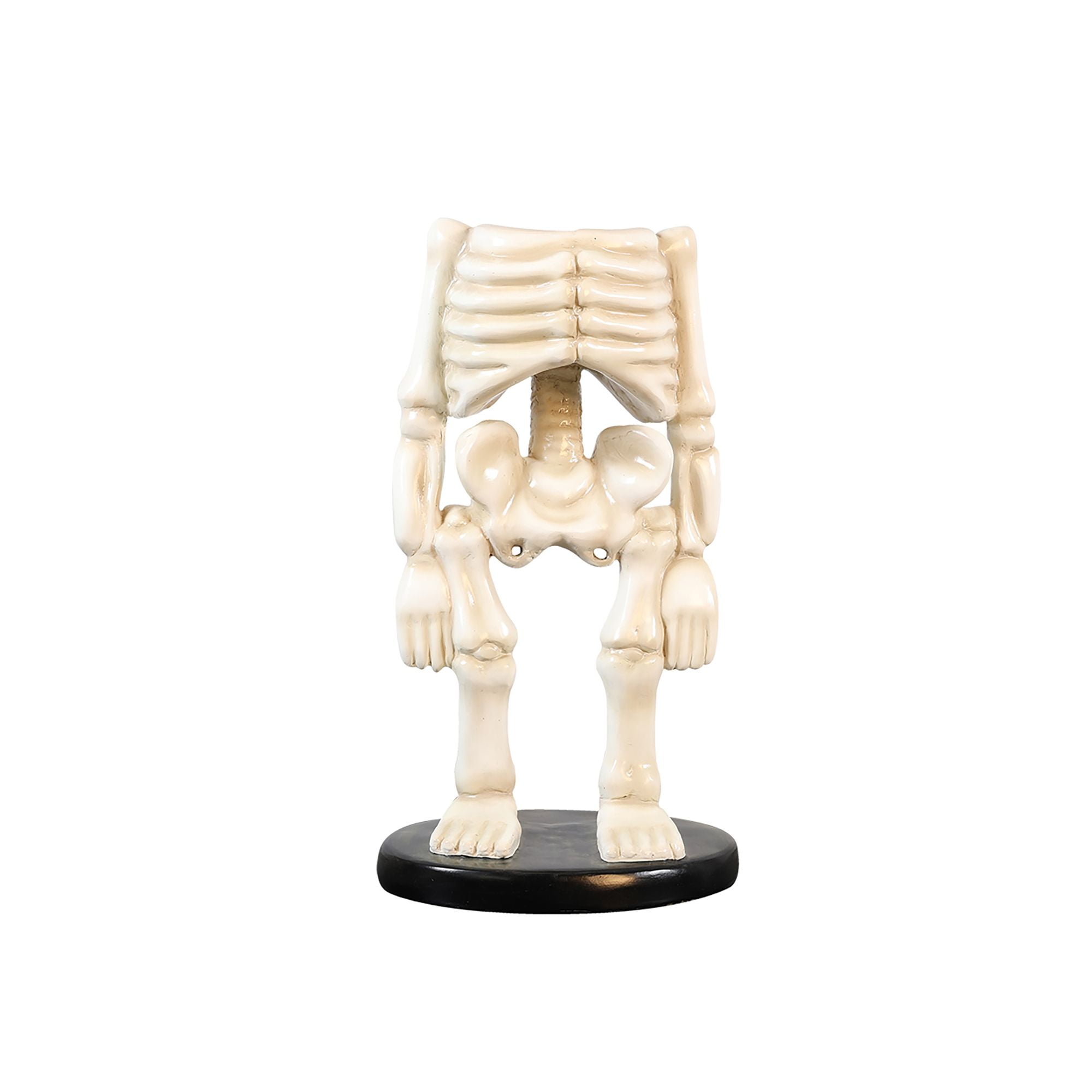 Universal Statues Skeleton Outdoor Halloween Decoration with Stand - 28 ...