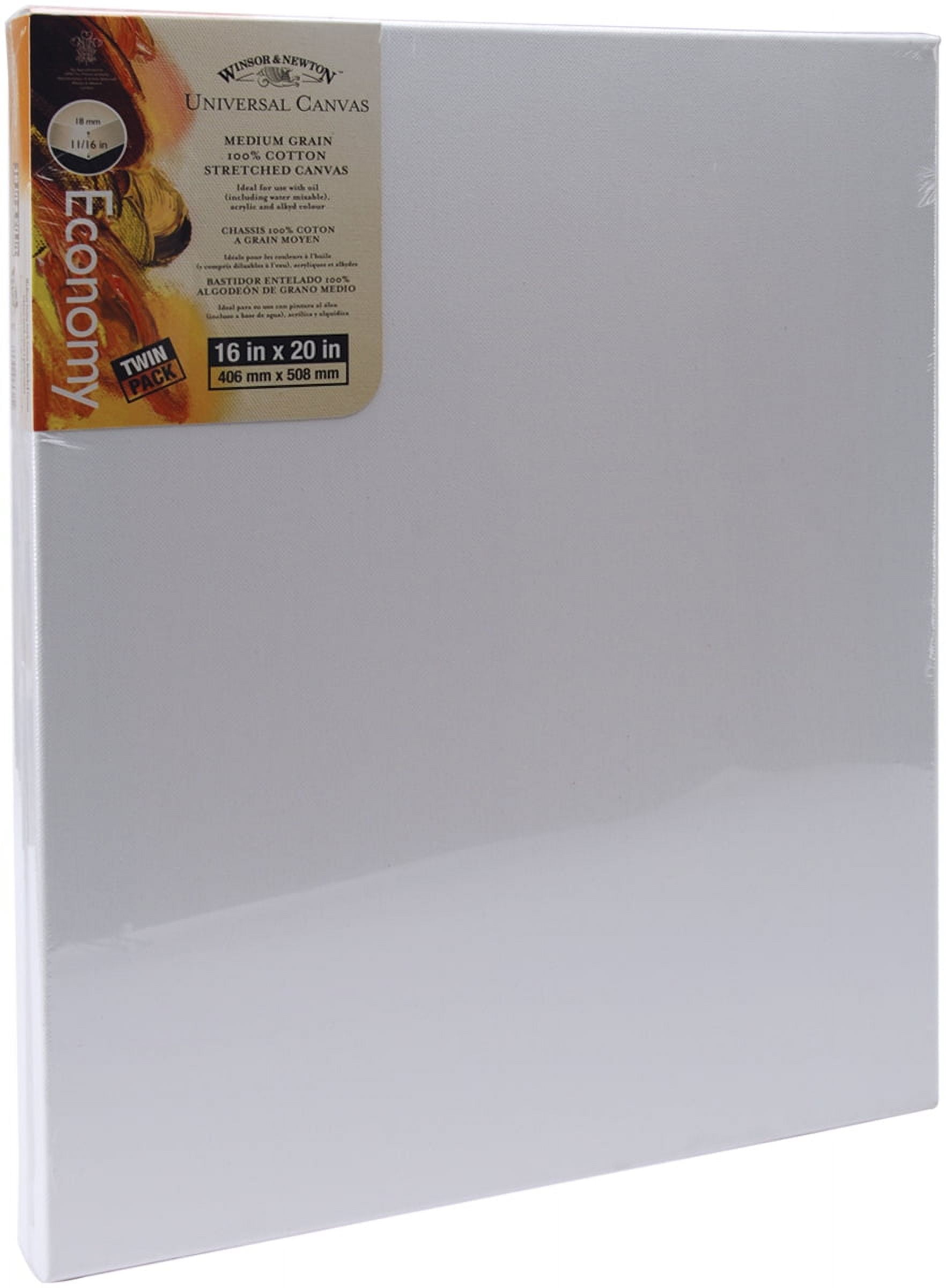 Universal Stretched Canvas Twin Pack 2/Pkg-16"X20", Pk 6, Winsor Newton ...
