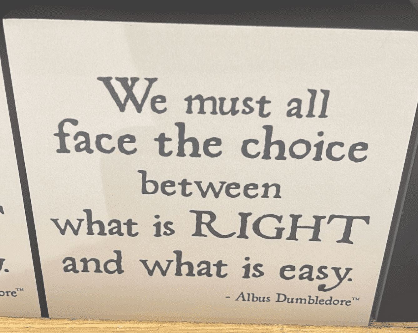 Albus Dumbledore Quotes Choices