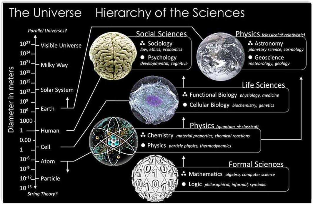Universe Knowledge Metal Tin Signs Hierarchy Of The Sciences Posters