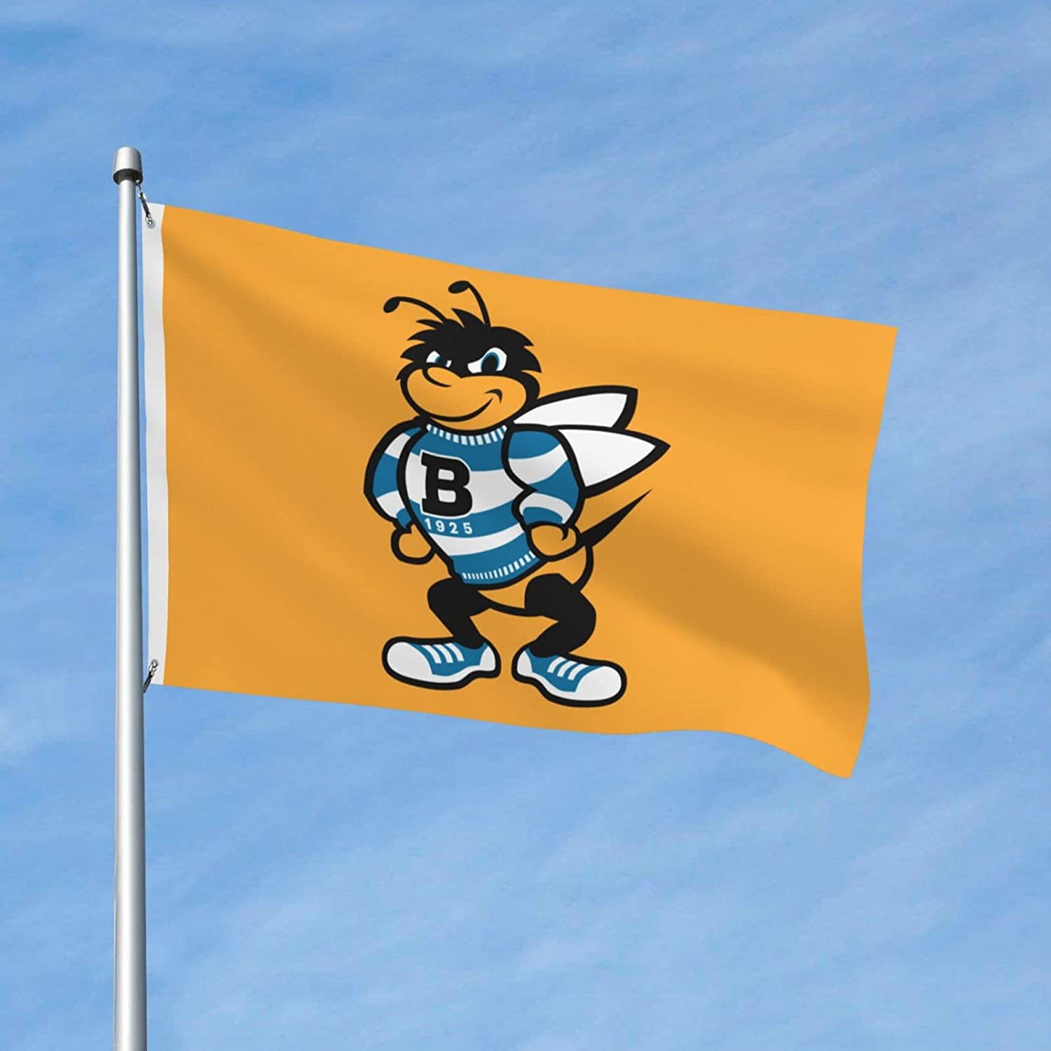 University Of Baltimore Garden 3x5Ft Flag Outdoor Indoor Party Home ...