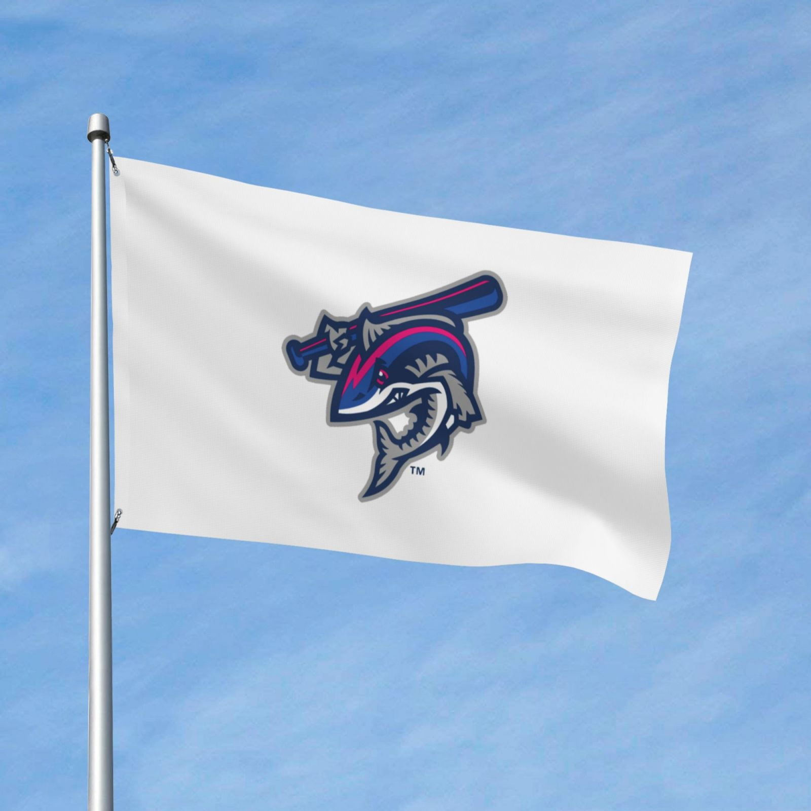 Pensacola Blue Wahoos 3x5 Ft Flag Double Sided Indoor Outdoor Double ...