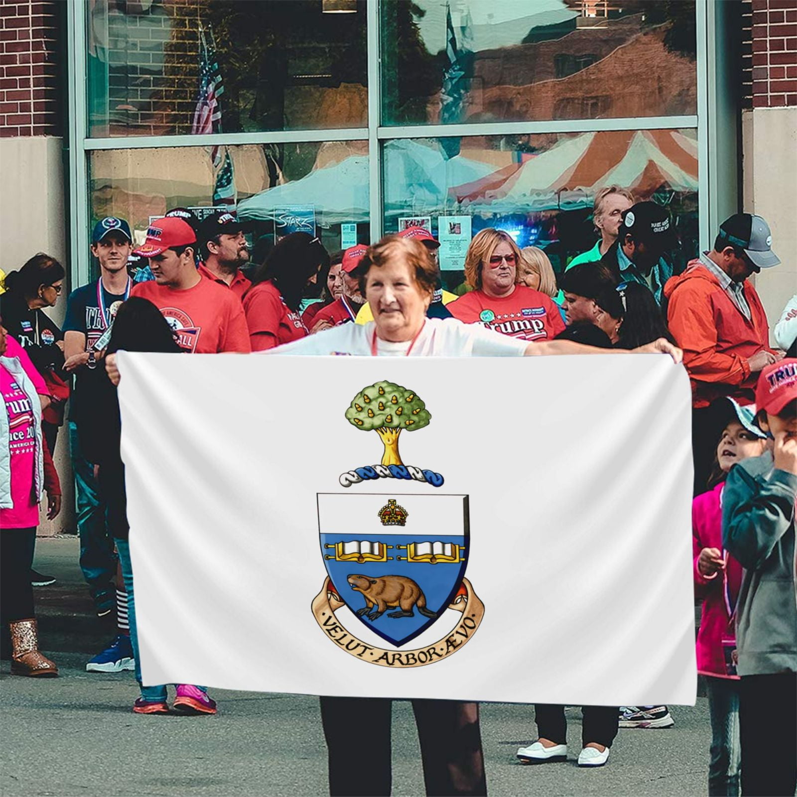 University Of Toronto Flag 3x5 Outdoor ,Sewn Stripes, Stronger Brass ...