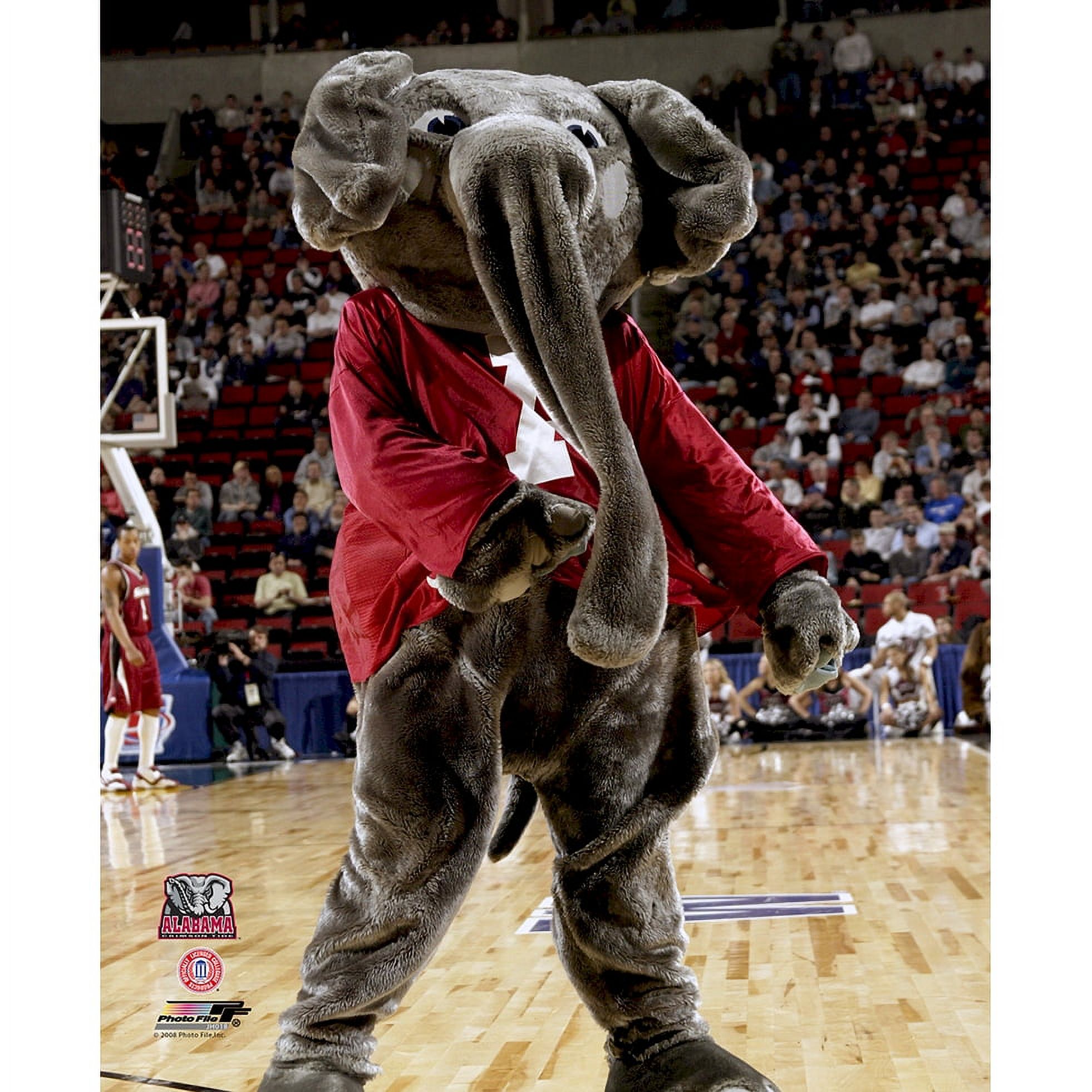 University of Alabama - Crimson Tide Elephant Mascot, 2004 16"x20 ...
