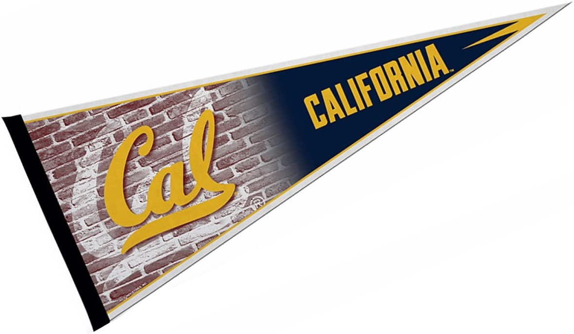 Berkeley Flag
