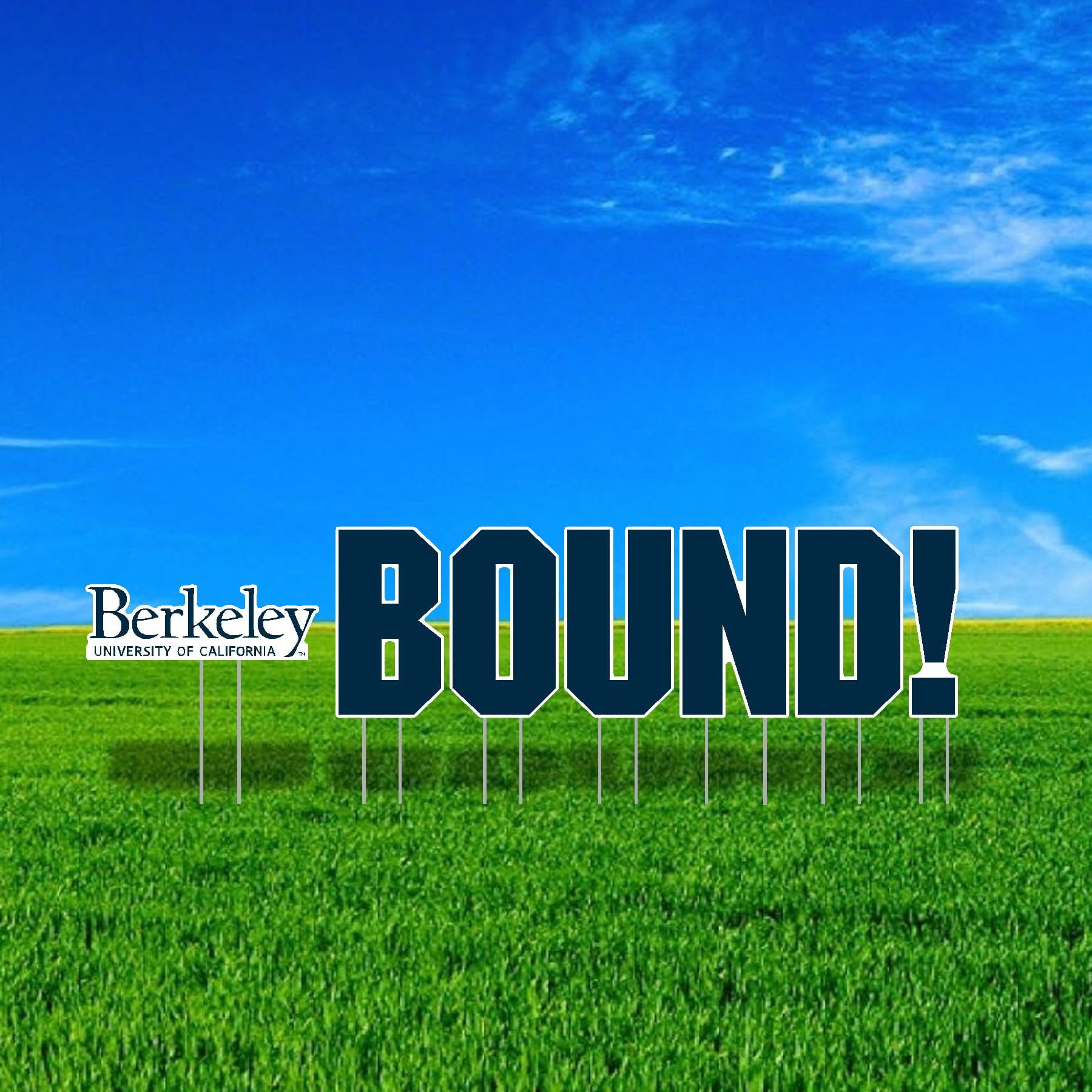 University of California Berkeley BOUND Mascot Yard Sign Set - Walmart.com