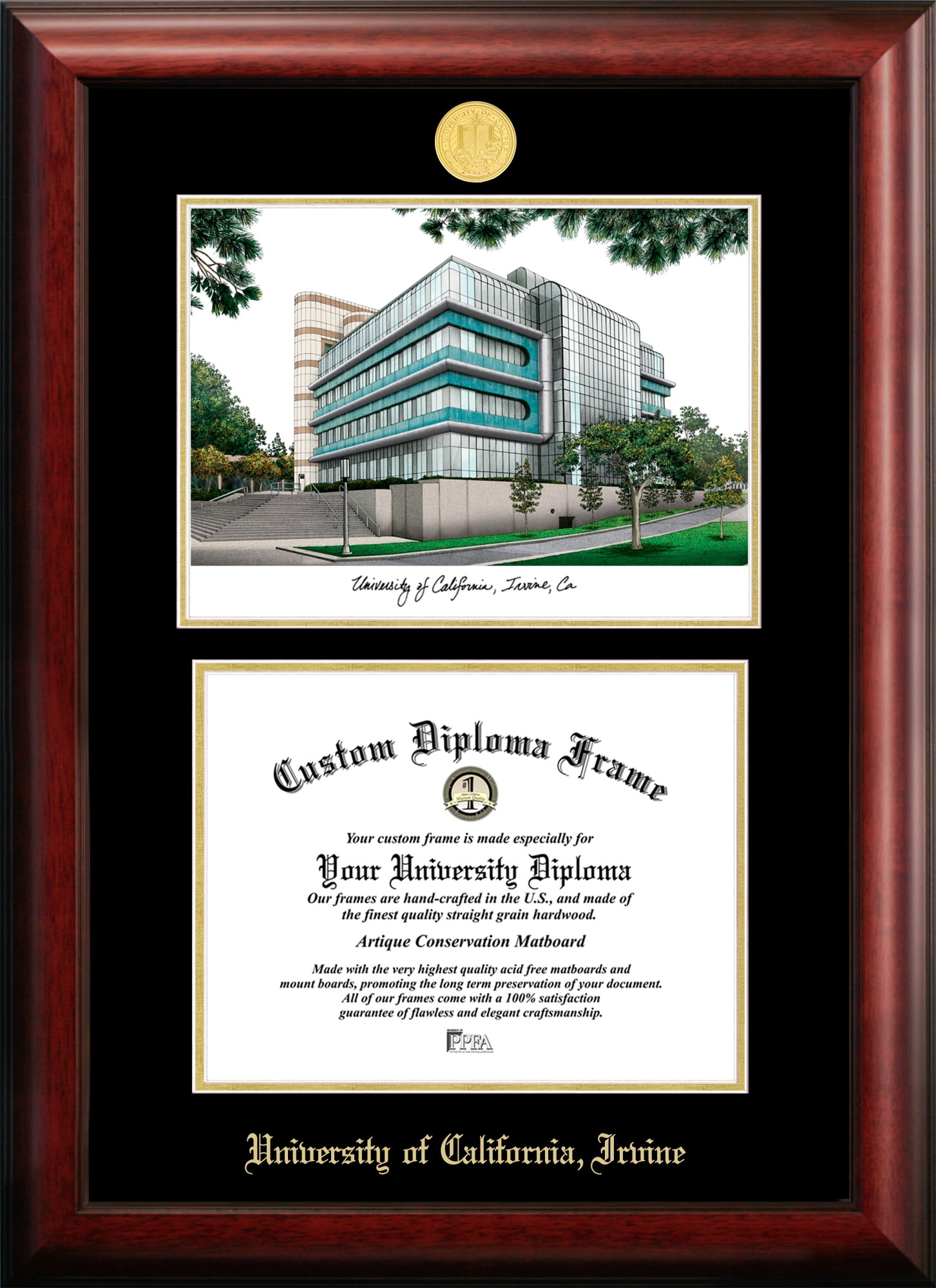University of California, Irvine 8.5" x 11" Gold Embossed Diploma Frame ...