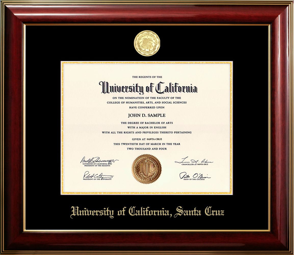 Santa Cruz Frame
