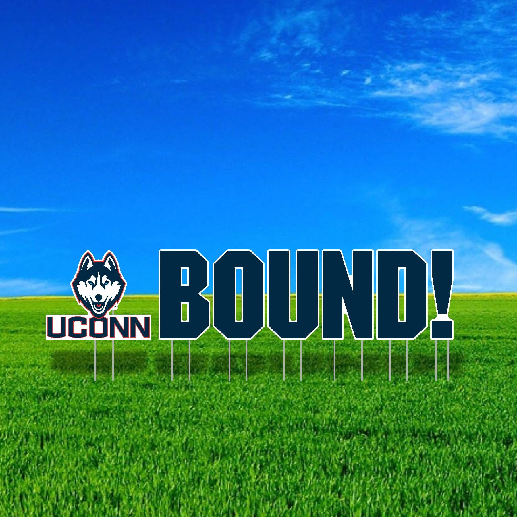 University of Connecticut BOUND Mascot Yard Sign Set - Walmart.com