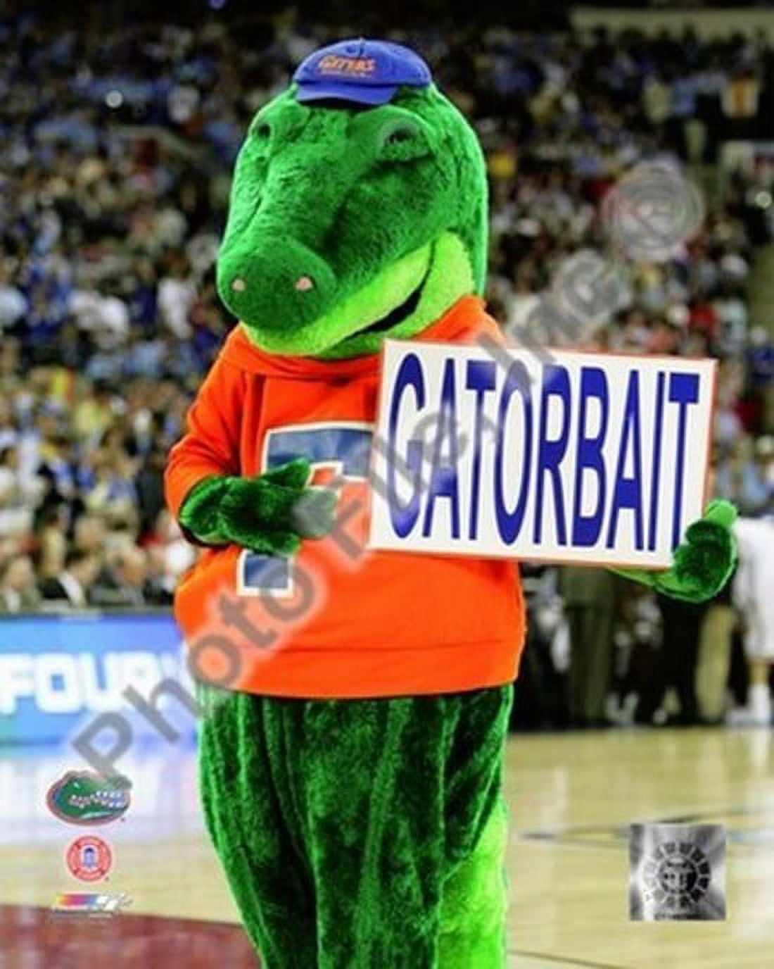 University of Florida - Gators Mascot, Albert E Gator, 2006 Sports ...