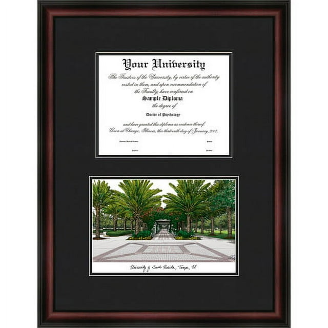 University of South Florida 8.5" x 11" Diplomate Diploma Frame ...