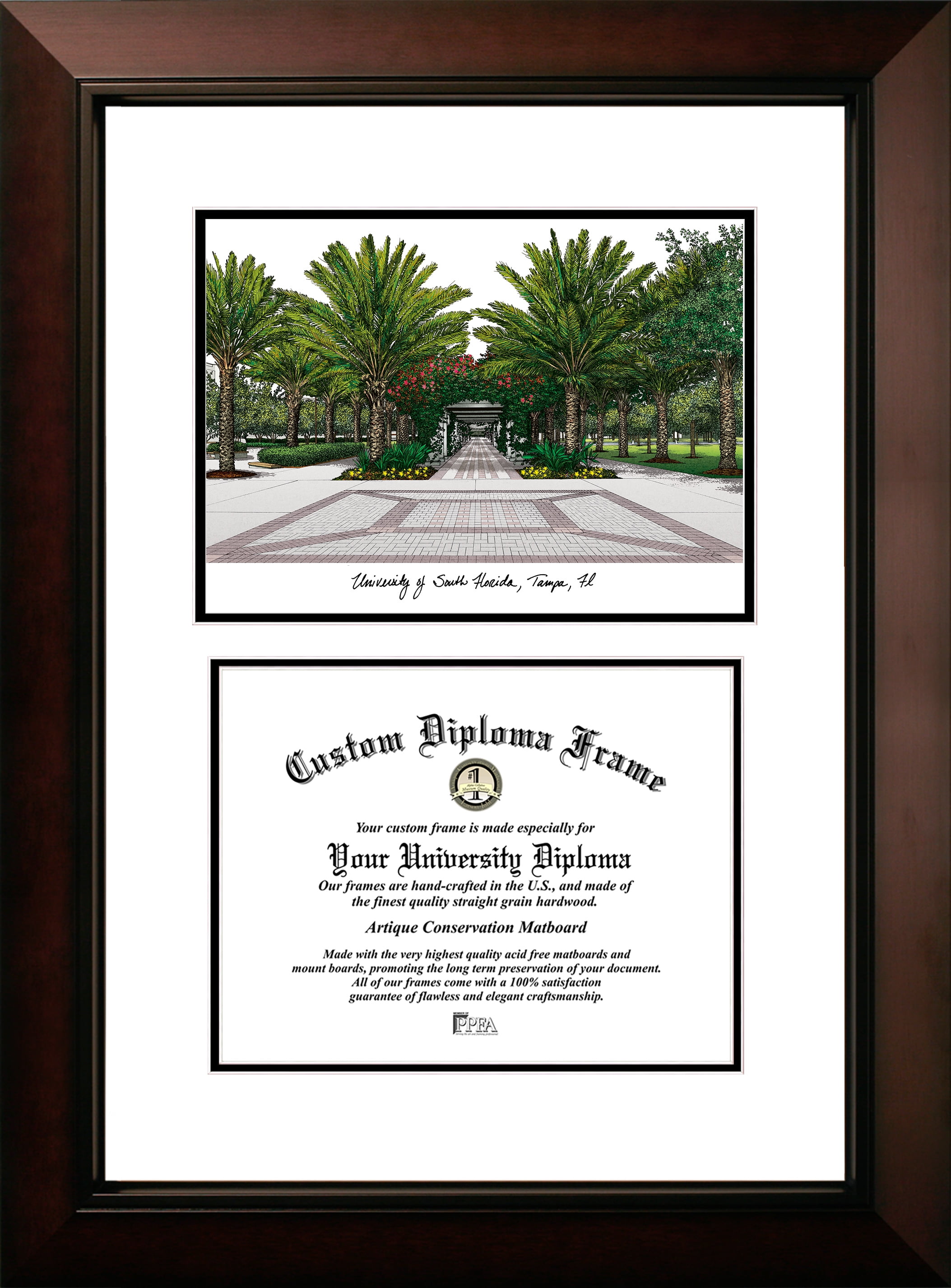 University of South Florida 8.5" x 11" Legacy Scholar Diploma Frame ...