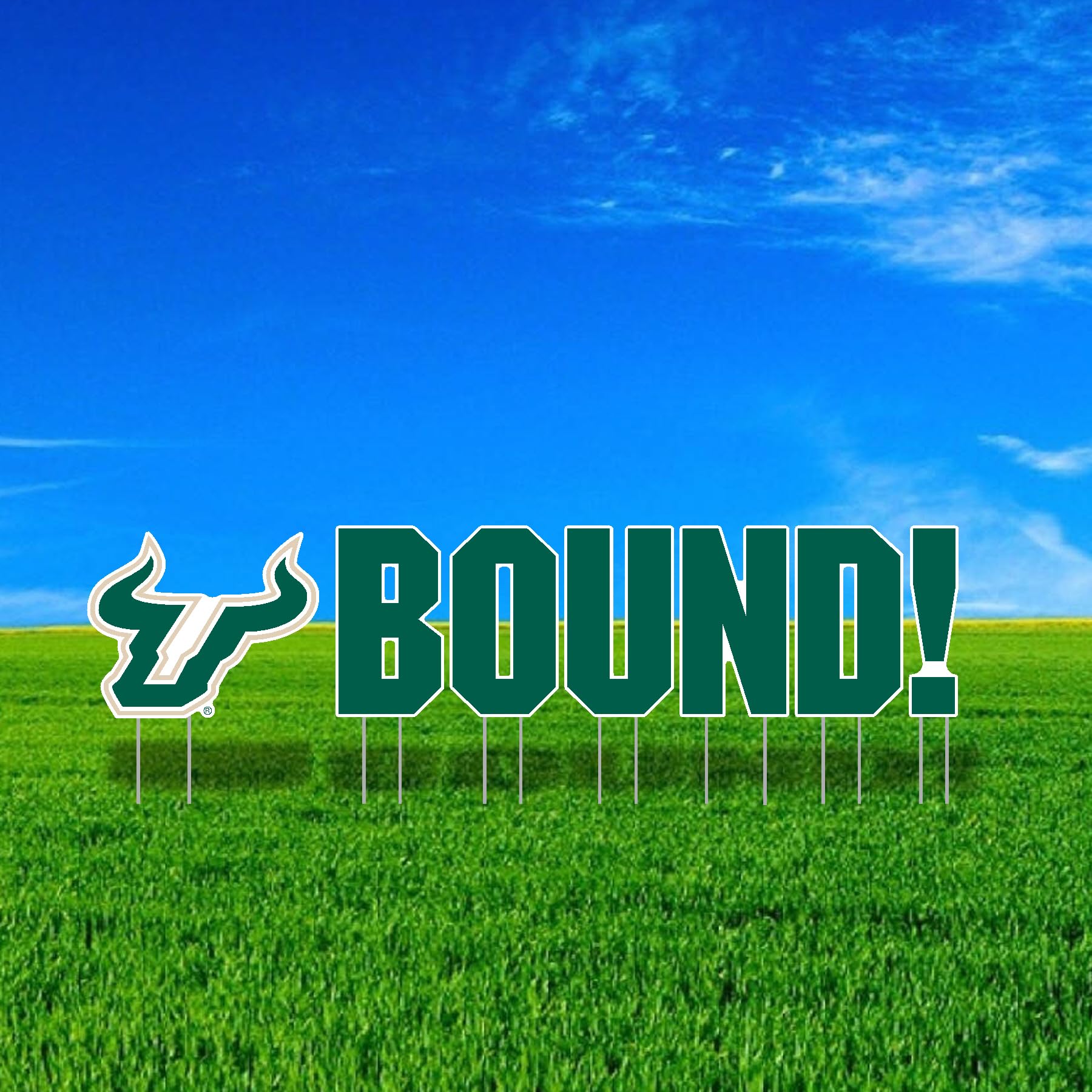 University of South Florida BOUND Mascot Yard Sign Set - Walmart.com