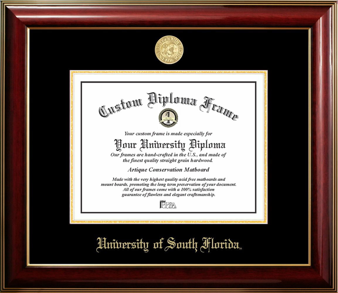 University of South Florida Classic Diploma Frame - Walmart.com