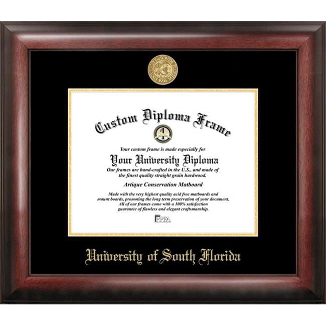 University of South Florida Gold Embossed Diploma Frame - Walmart.com