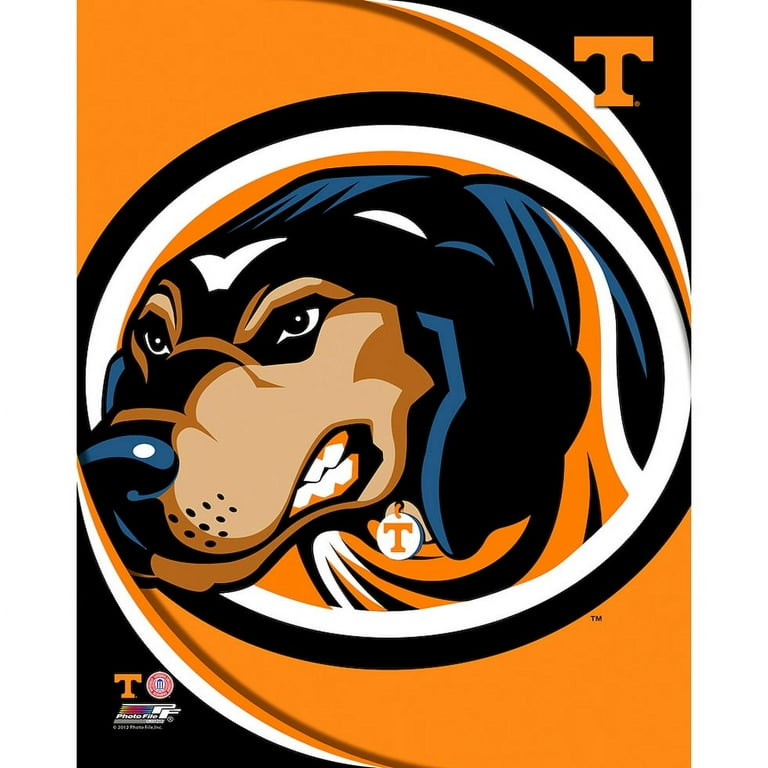 University Of Tennessee College Logo