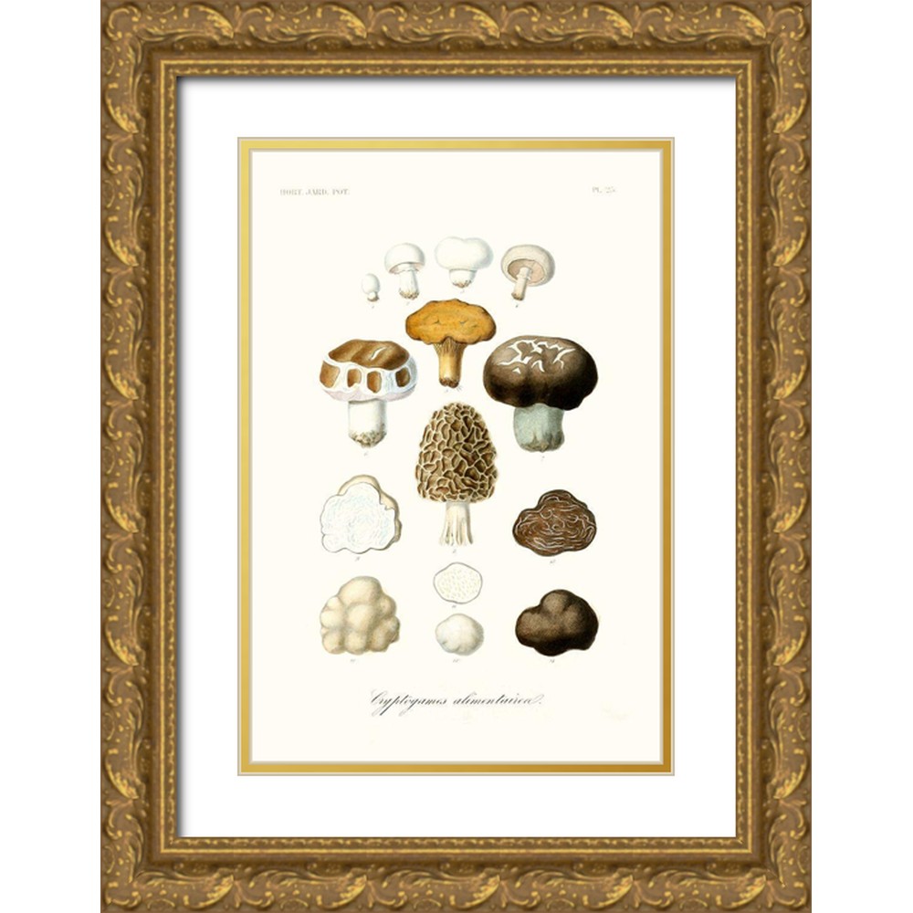 Unknown 11x14 Gold Ornate Wood Framed with Double Matting Museum Art ...