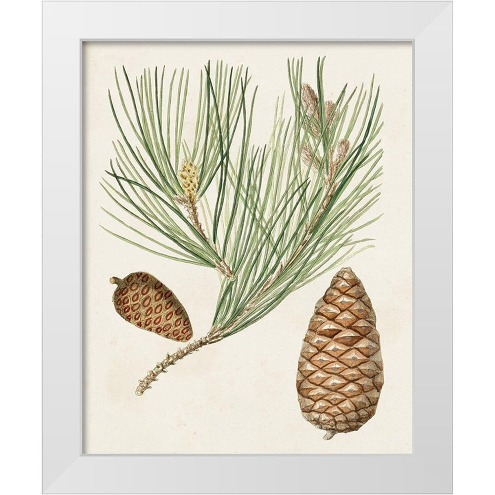 Unknown 12x14 White Modern Wood Framed Museum Art Print Titled ...