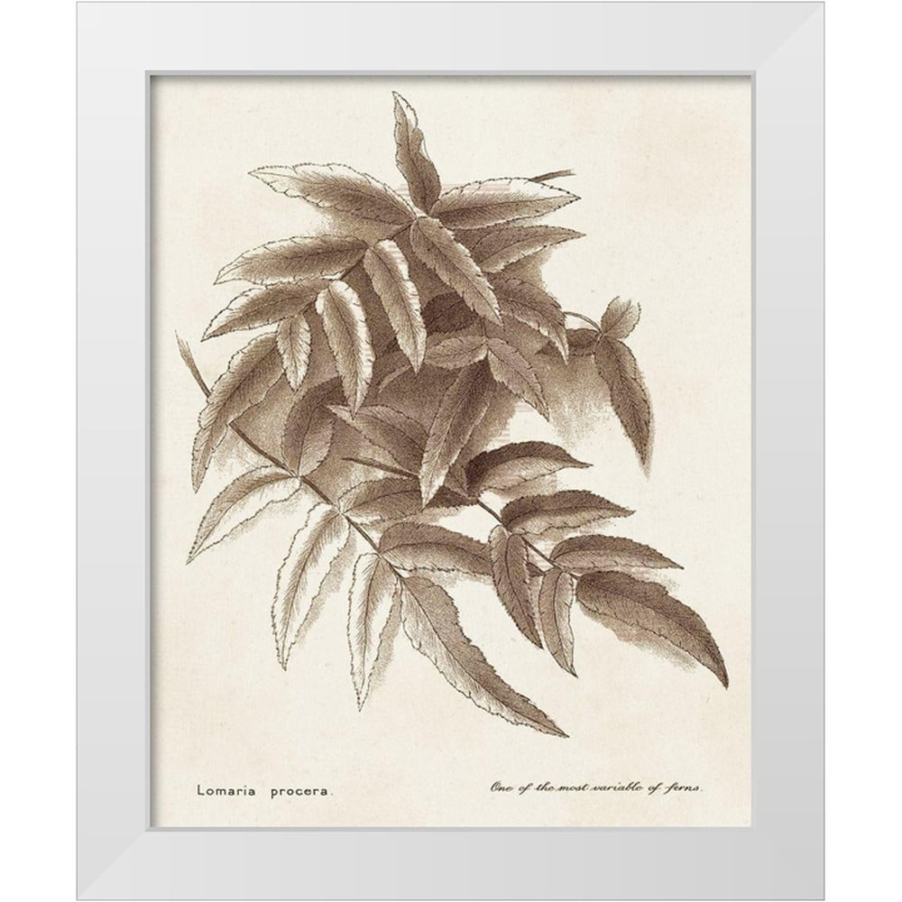 Unknown 12x14 White Modern Wood Framed Museum Art Print Titled - Sepia ...