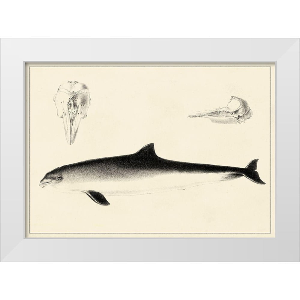 Unknown 14x11 White Modern Wood Framed Museum Art Print Titled ...