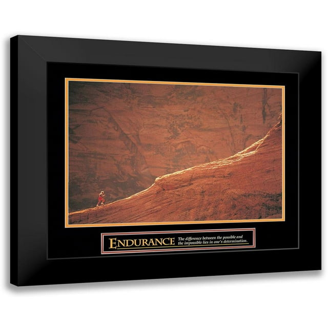 Unknown 14x12 Black Modern Framed Museum Art Print Titled - Endurance ...