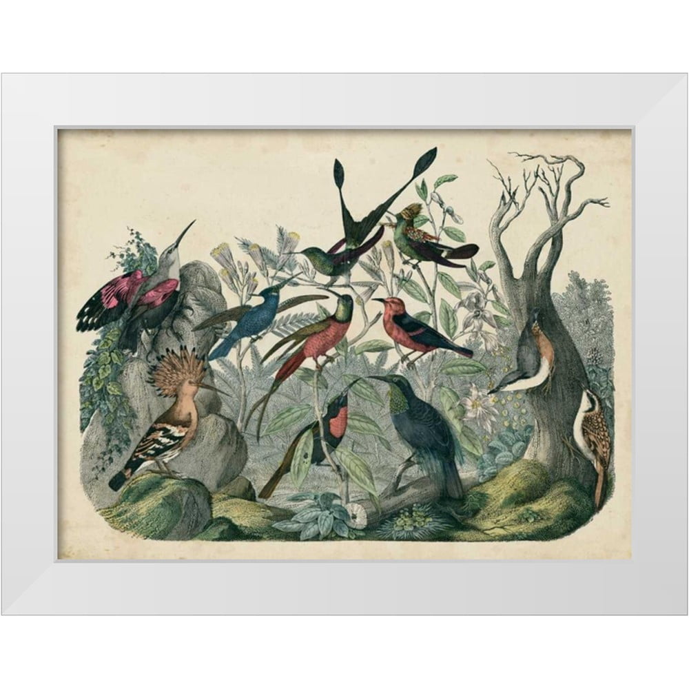 Unknown 14x12 White Modern Wood Framed Museum Art Print Titled ...
