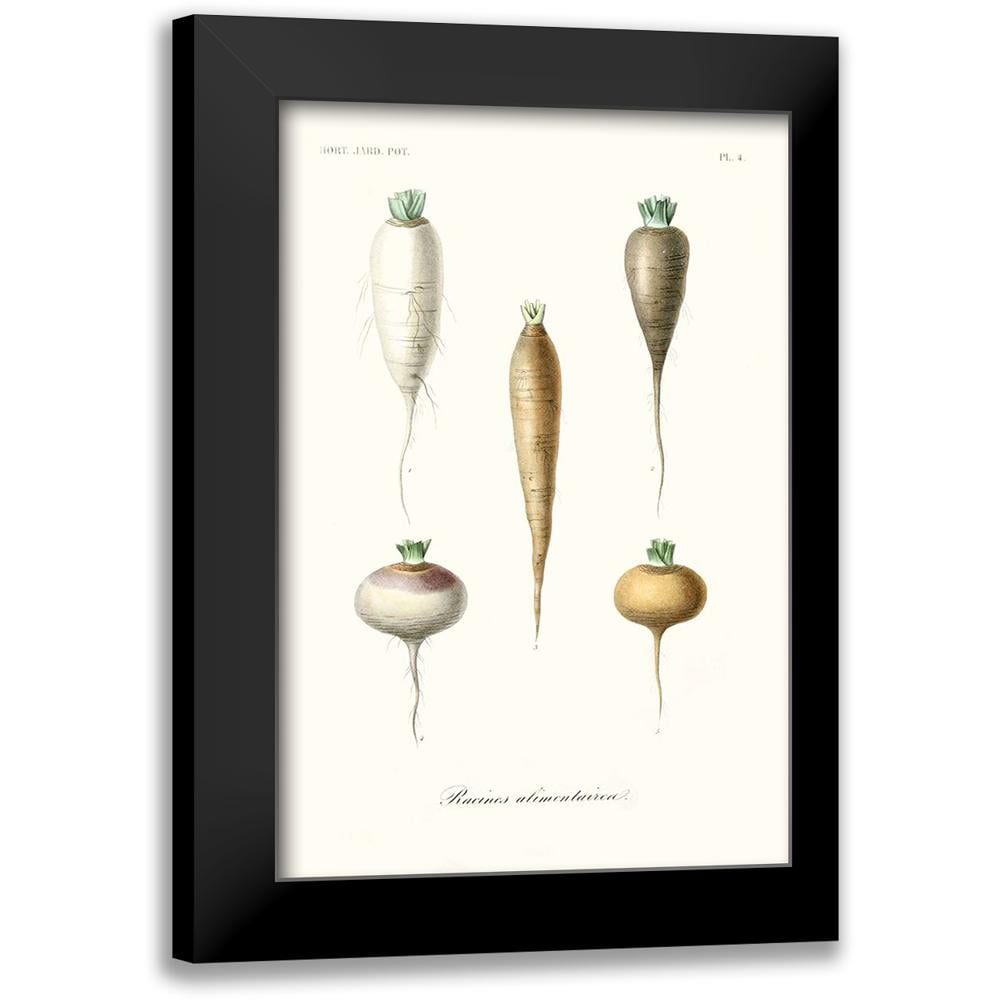 Unknown 17x24 Black Modern Framed Museum Art Print Titled - Fruit And ...