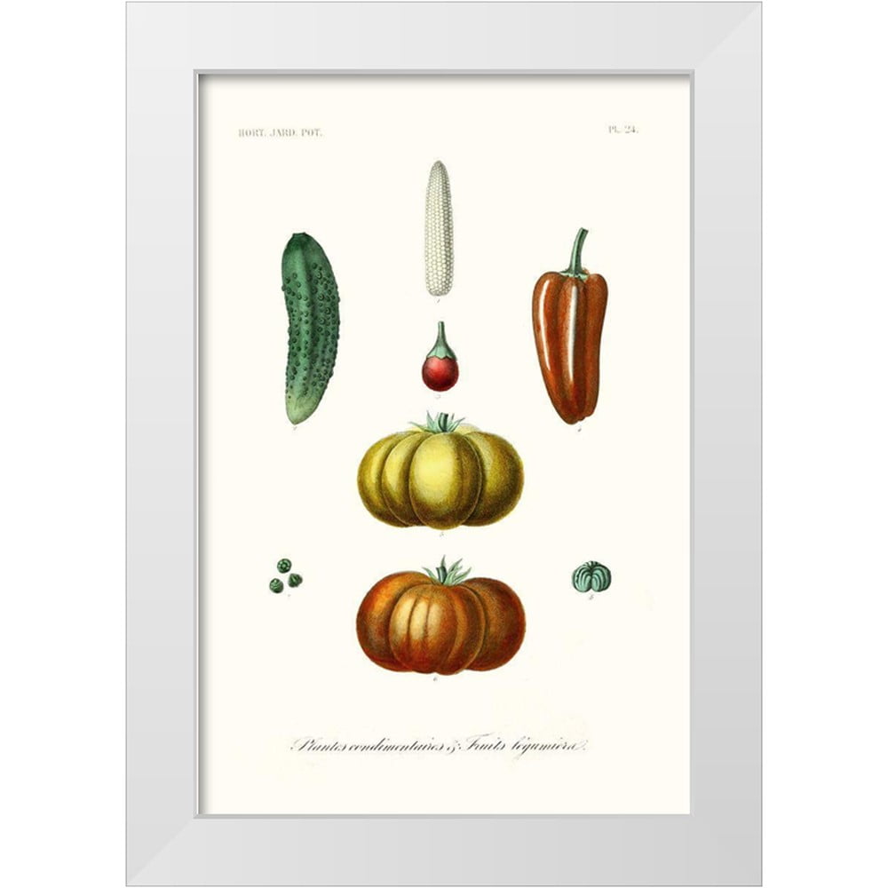 Unknown 23x32 White Modern Wood Framed Museum Art Print Titled - Fruit ...