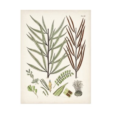 Richard Foust 'Antique Ship Sketch VIII' Canvas Art - Walmart.com